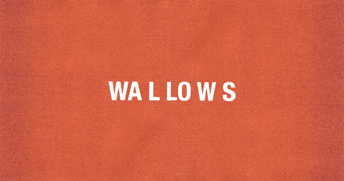 Wallows | Official Website
